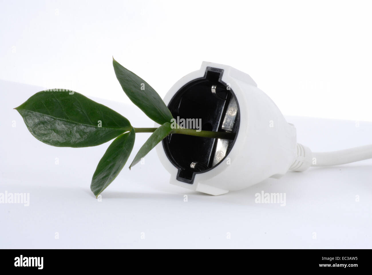 Plant growing out of electric cable hi-res stock photography and images ...