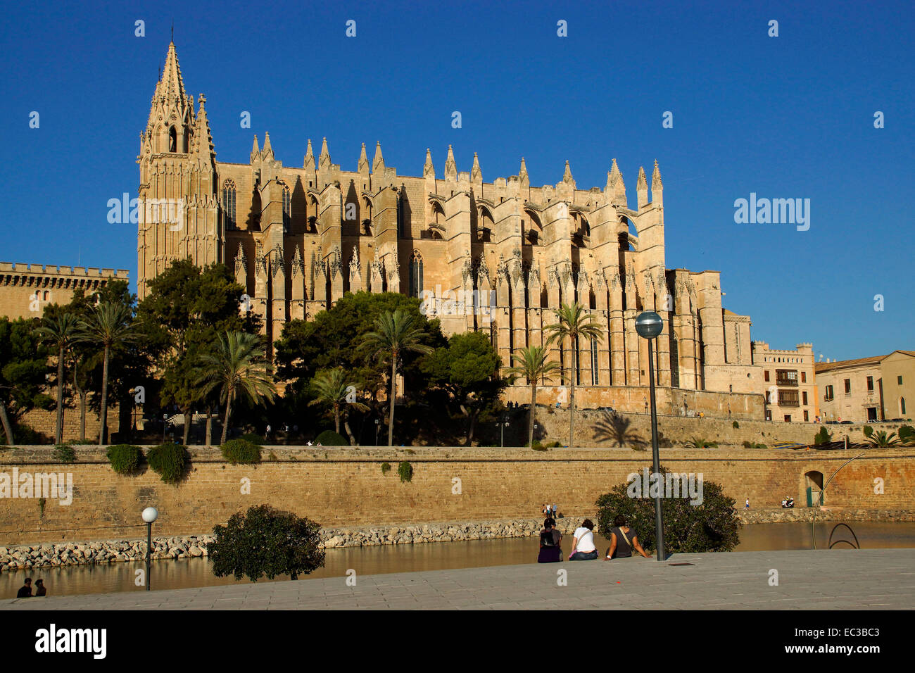 church from palma Stock Photo - Alamy