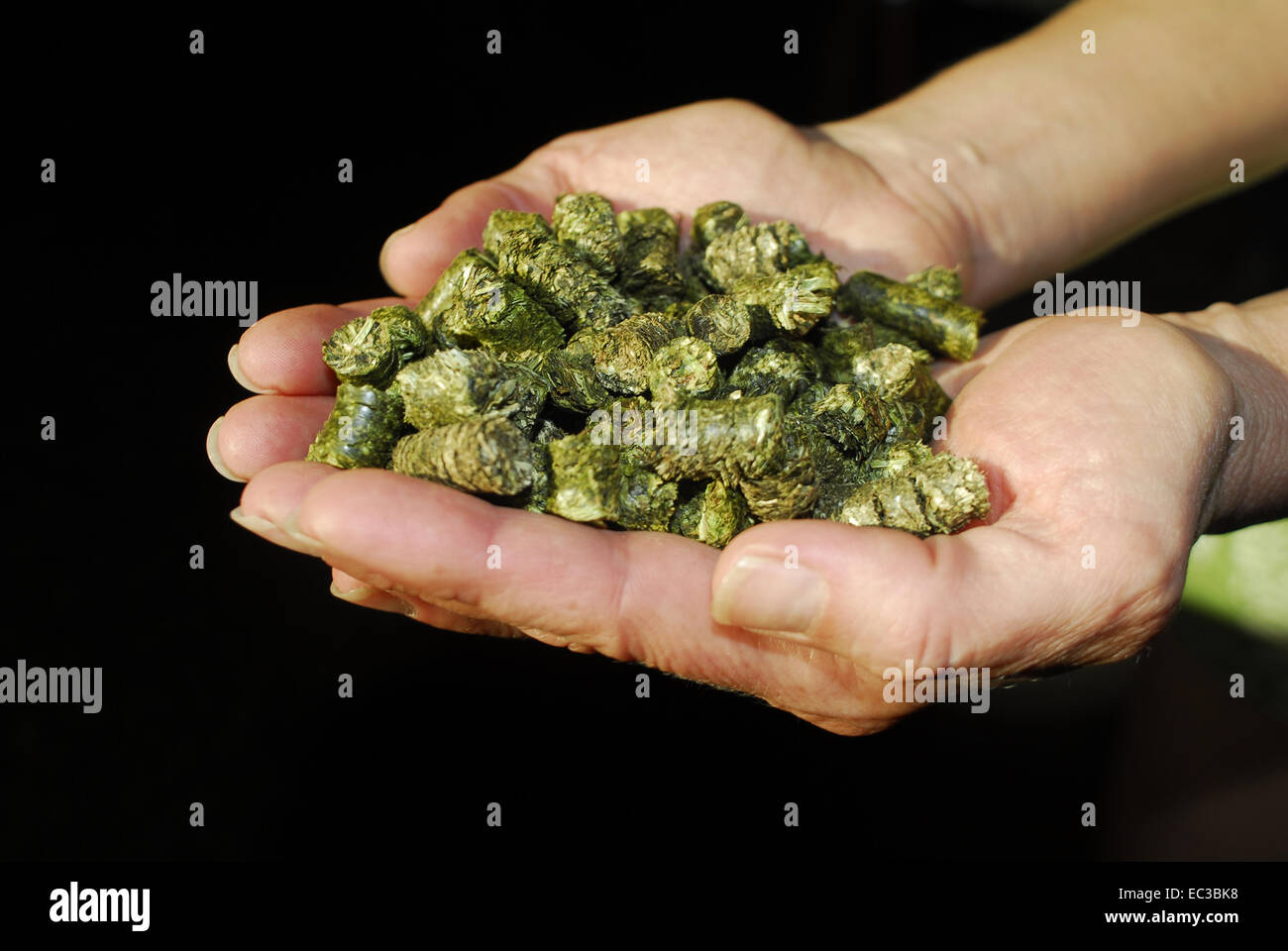Cattle feed pellets hi-res stock photography and images - Alamy