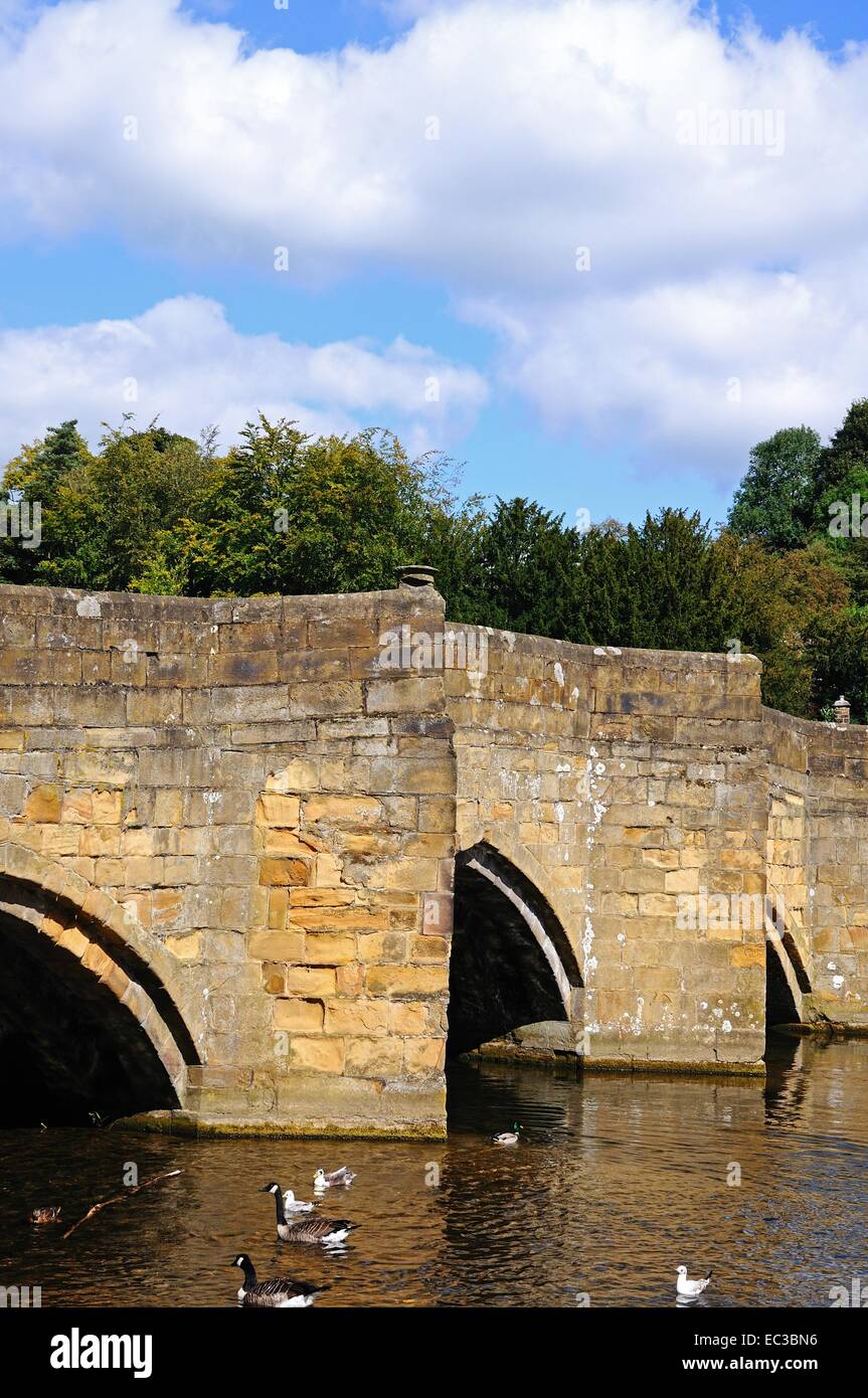 Medieval bridge over the River Wye, Bakewell, Derbyshire, England, UK ...