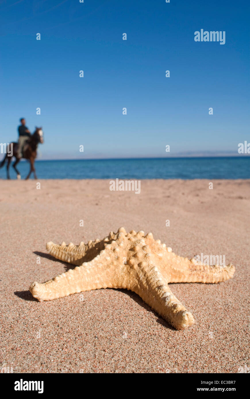 Child switch off light hi-res stock photography and images - Alamy