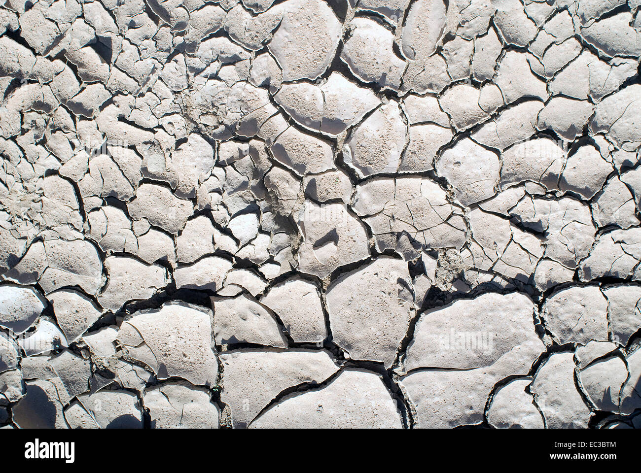 Loamy soil hi-res stock photography and images - Alamy