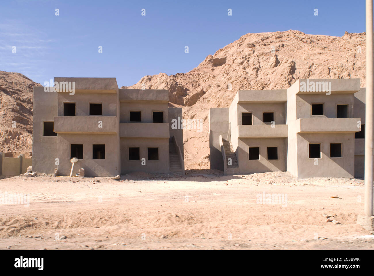 Structure of shells hi-res stock photography and images - Alamy