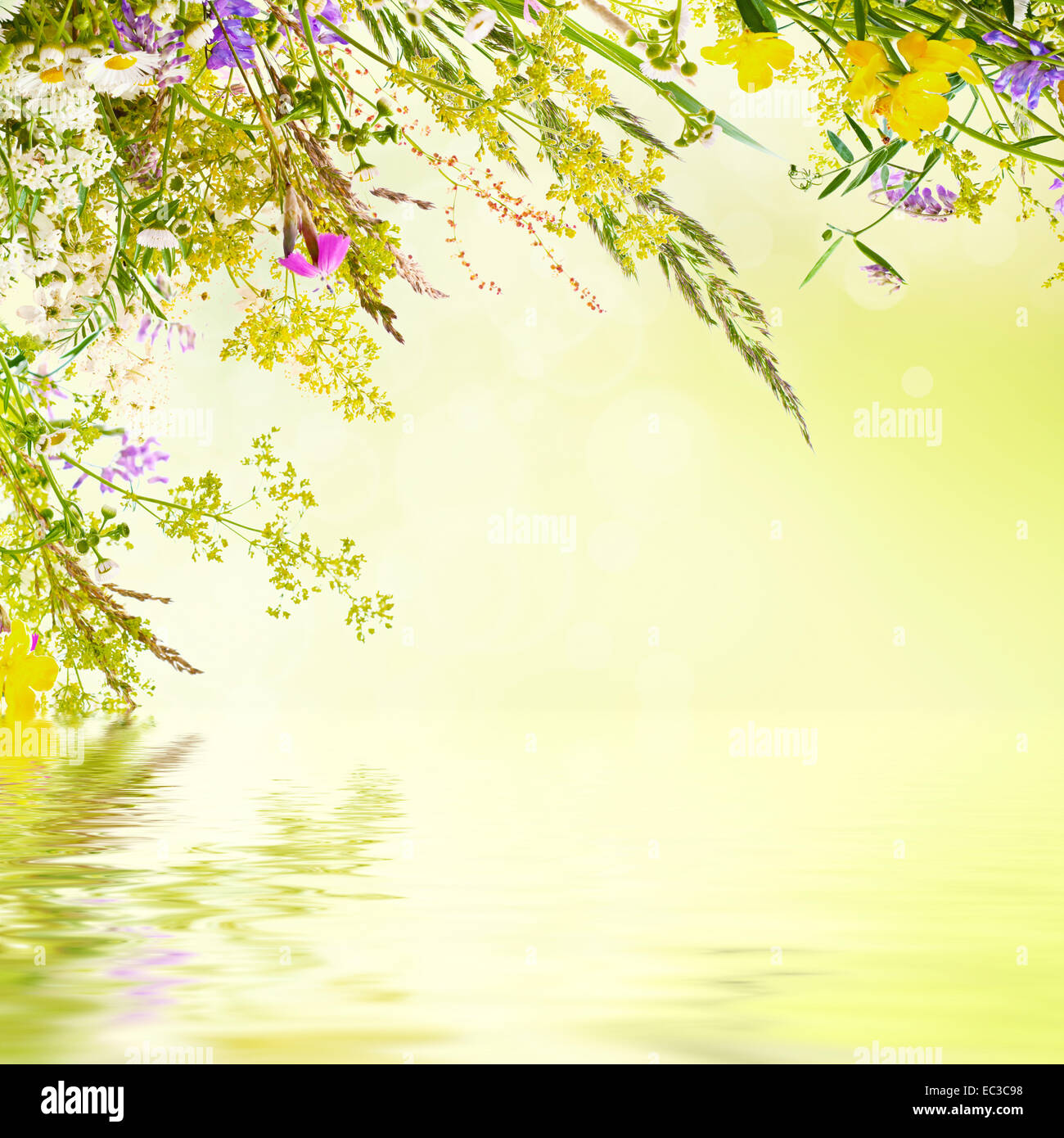 Floral easter background Stock Photo - Alamy