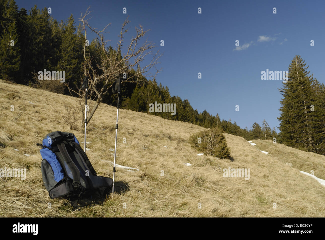 Sulzberg hi-res stock photography and images - Alamy