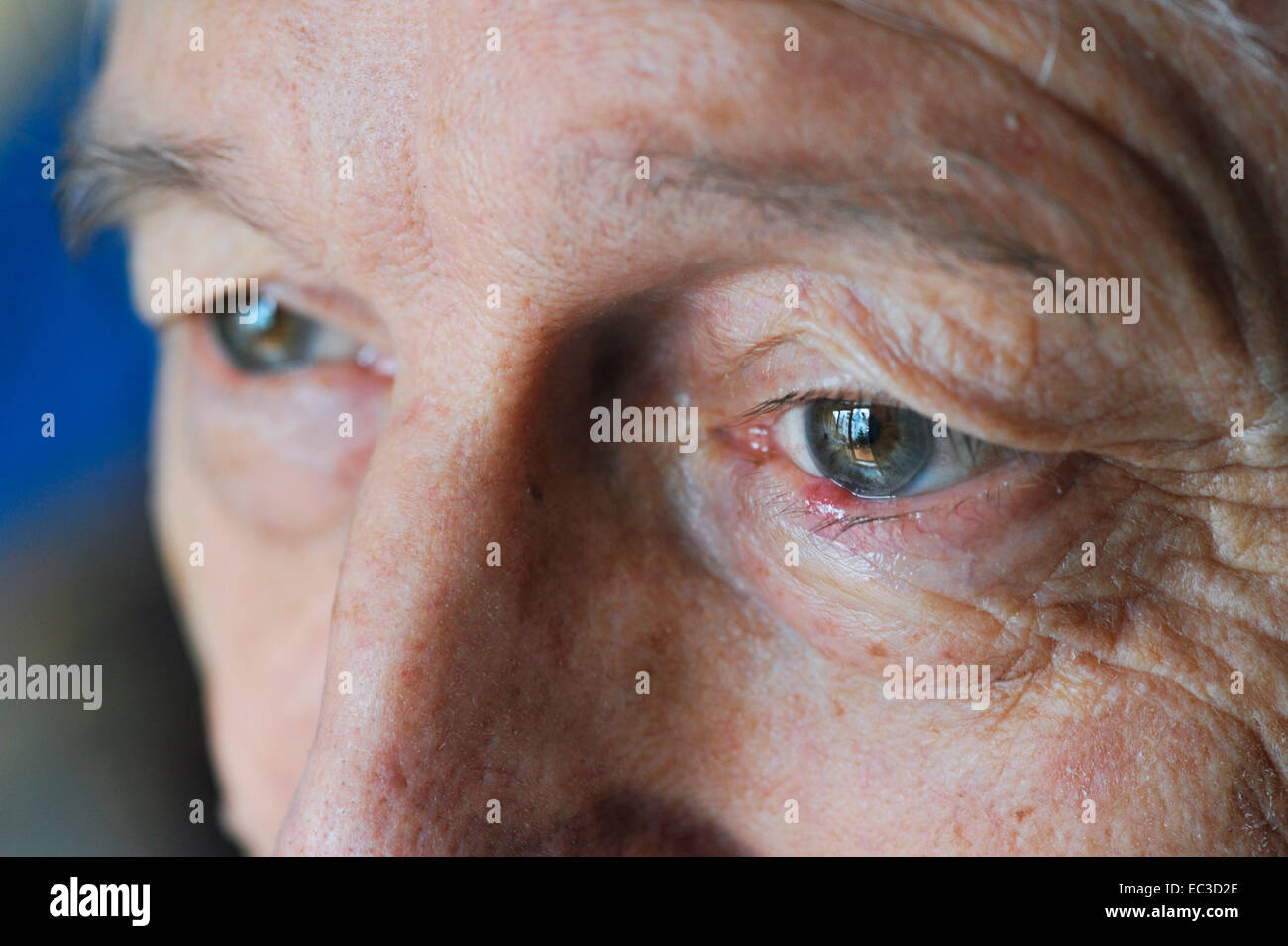 Eyes of an Old Man Stock Photo - Alamy