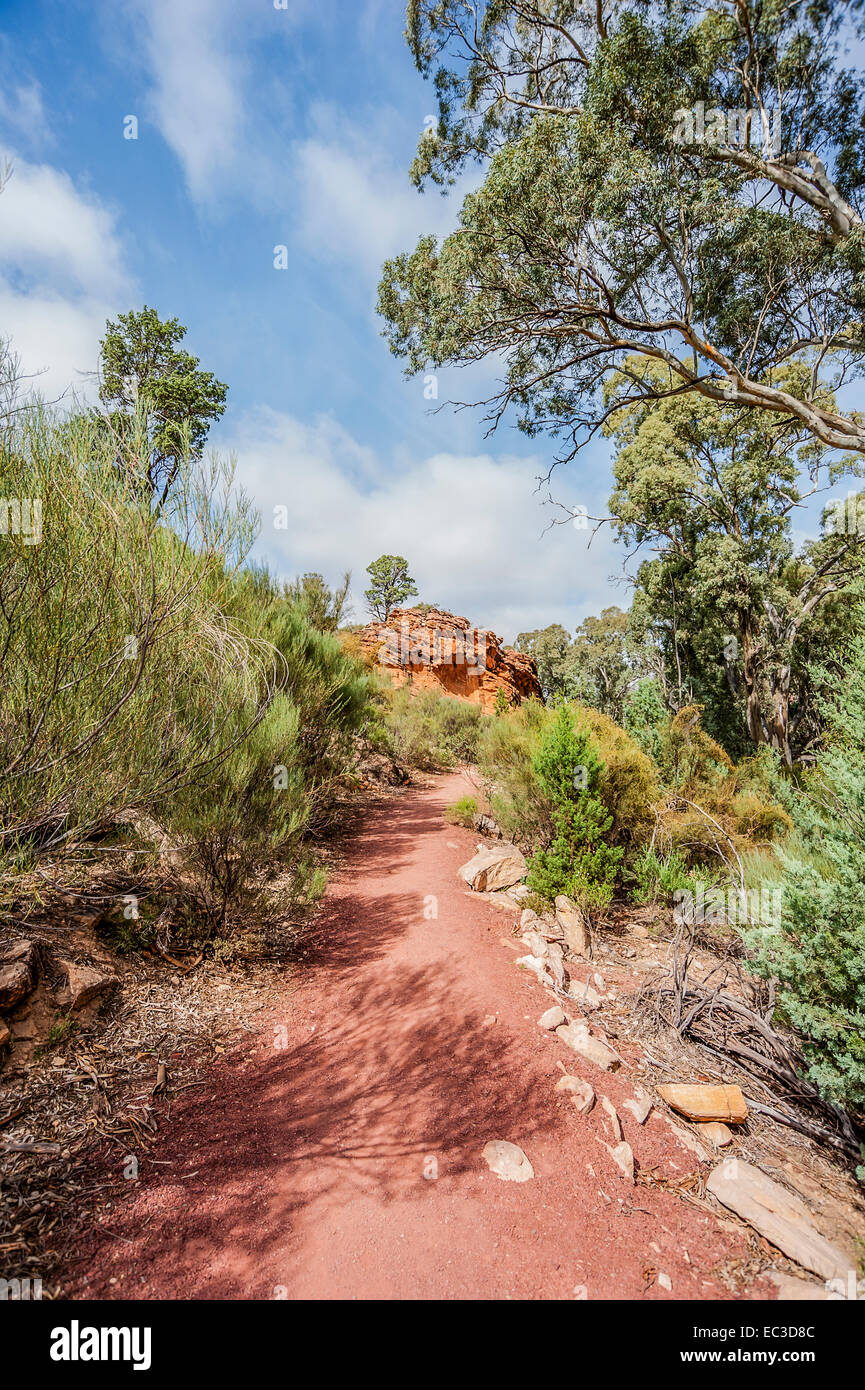 A hiking trail in the ruggedly beautiful Flinders Ranges in the ...
