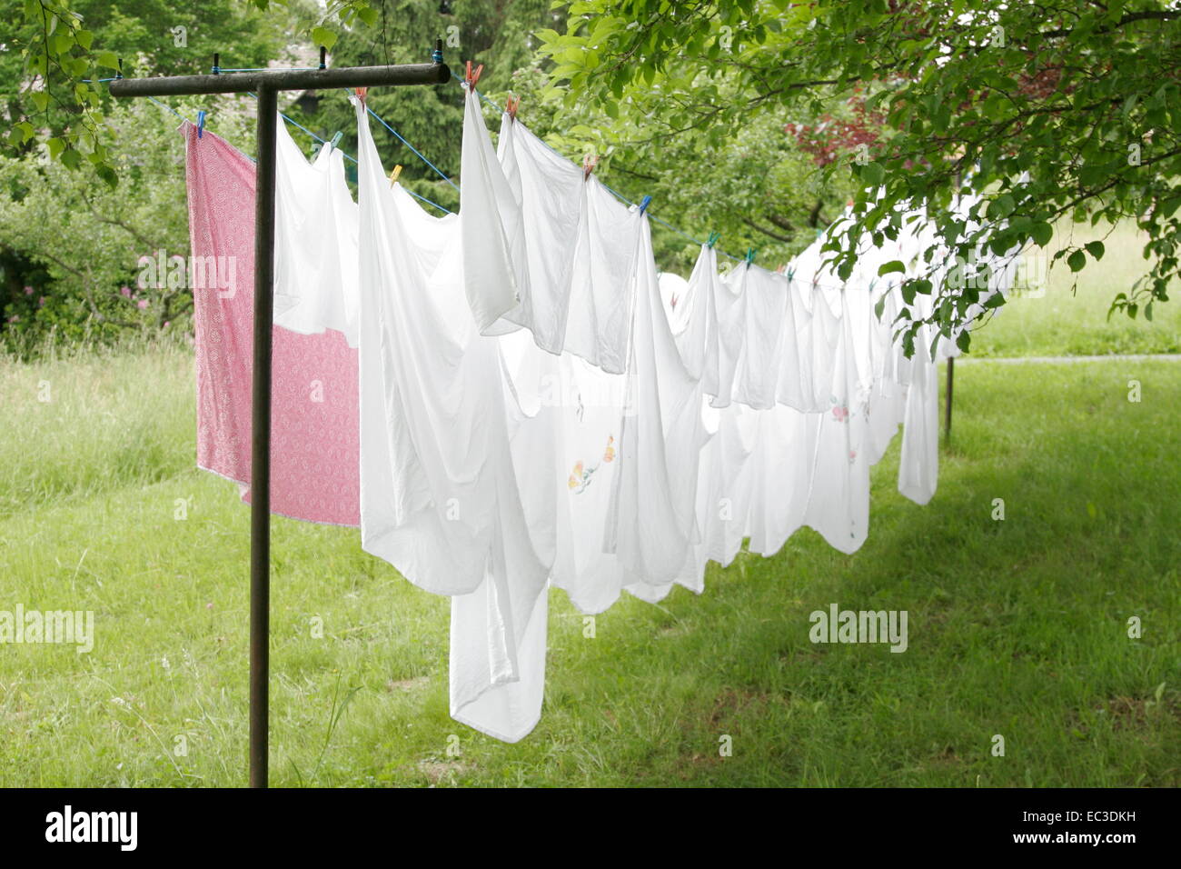 white laundry on the rope Stock Photo - Alamy