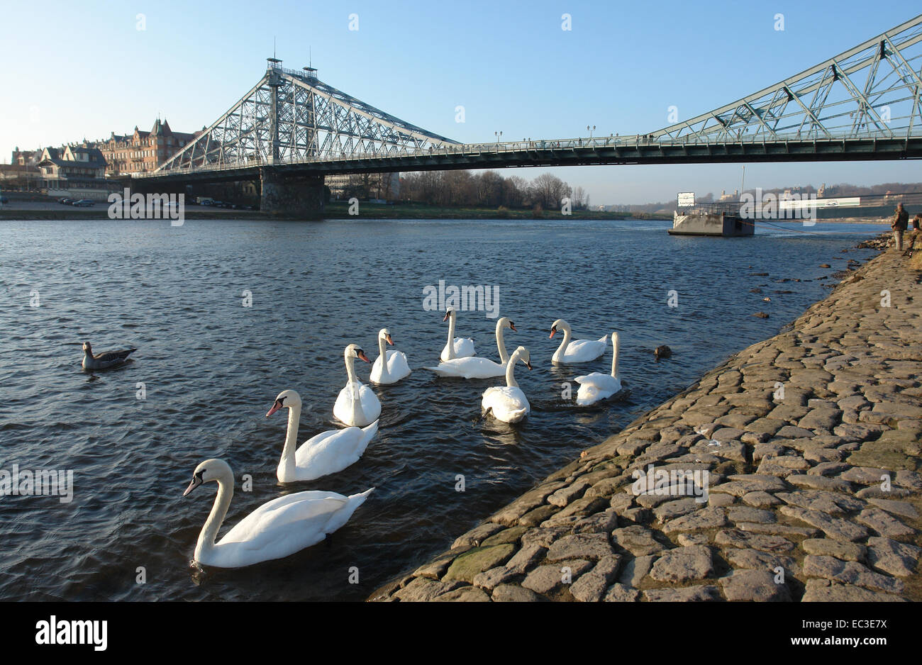 Bridges in dresden hi-res stock photography and images - Alamy