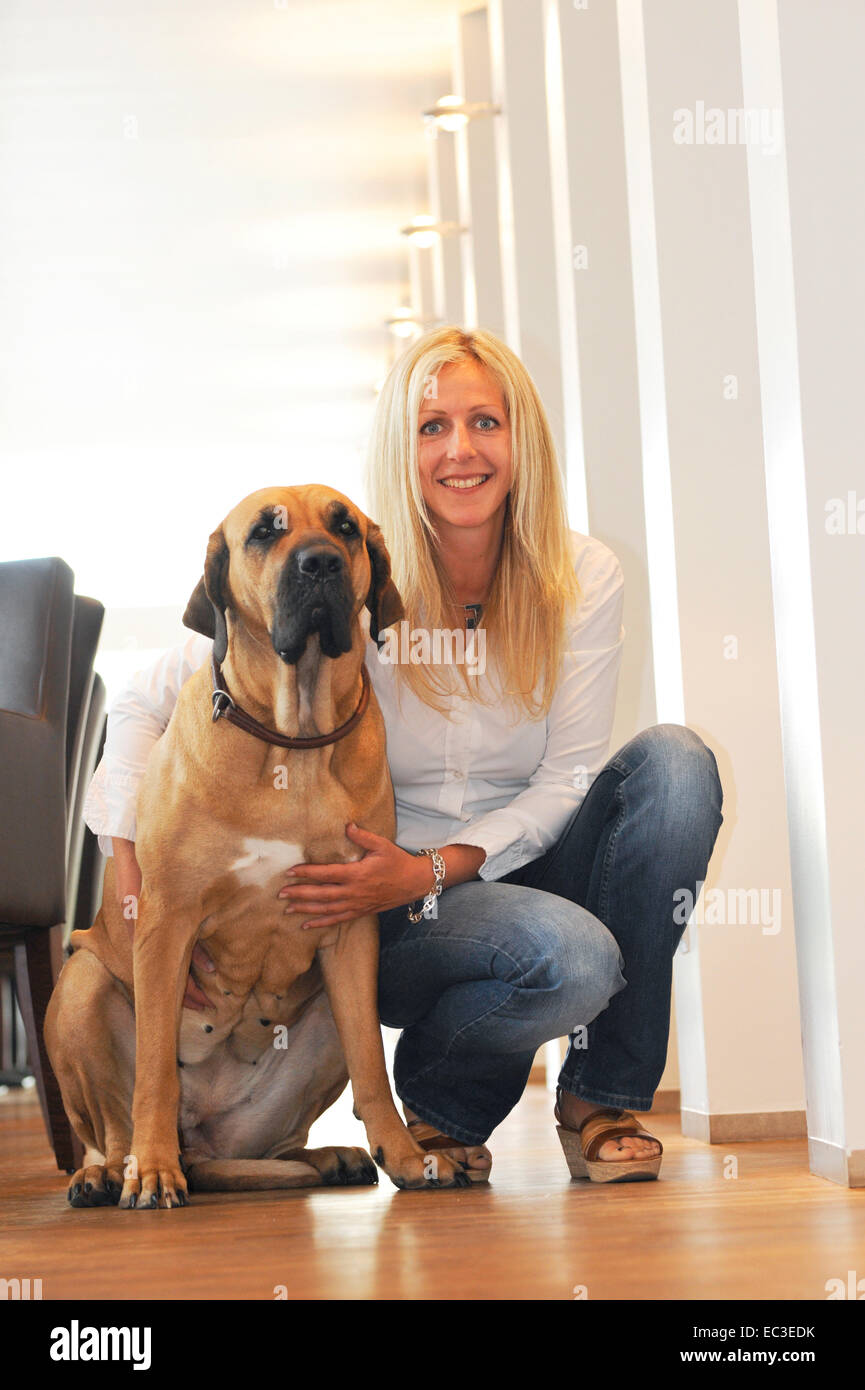 Boarhound hi-res stock photography and images - Alamy