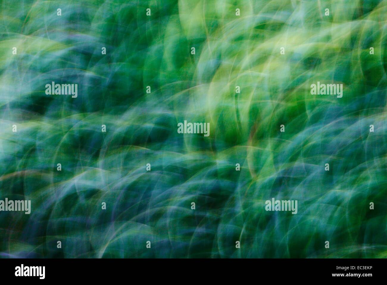 Green structure hi-res stock photography and images - Alamy