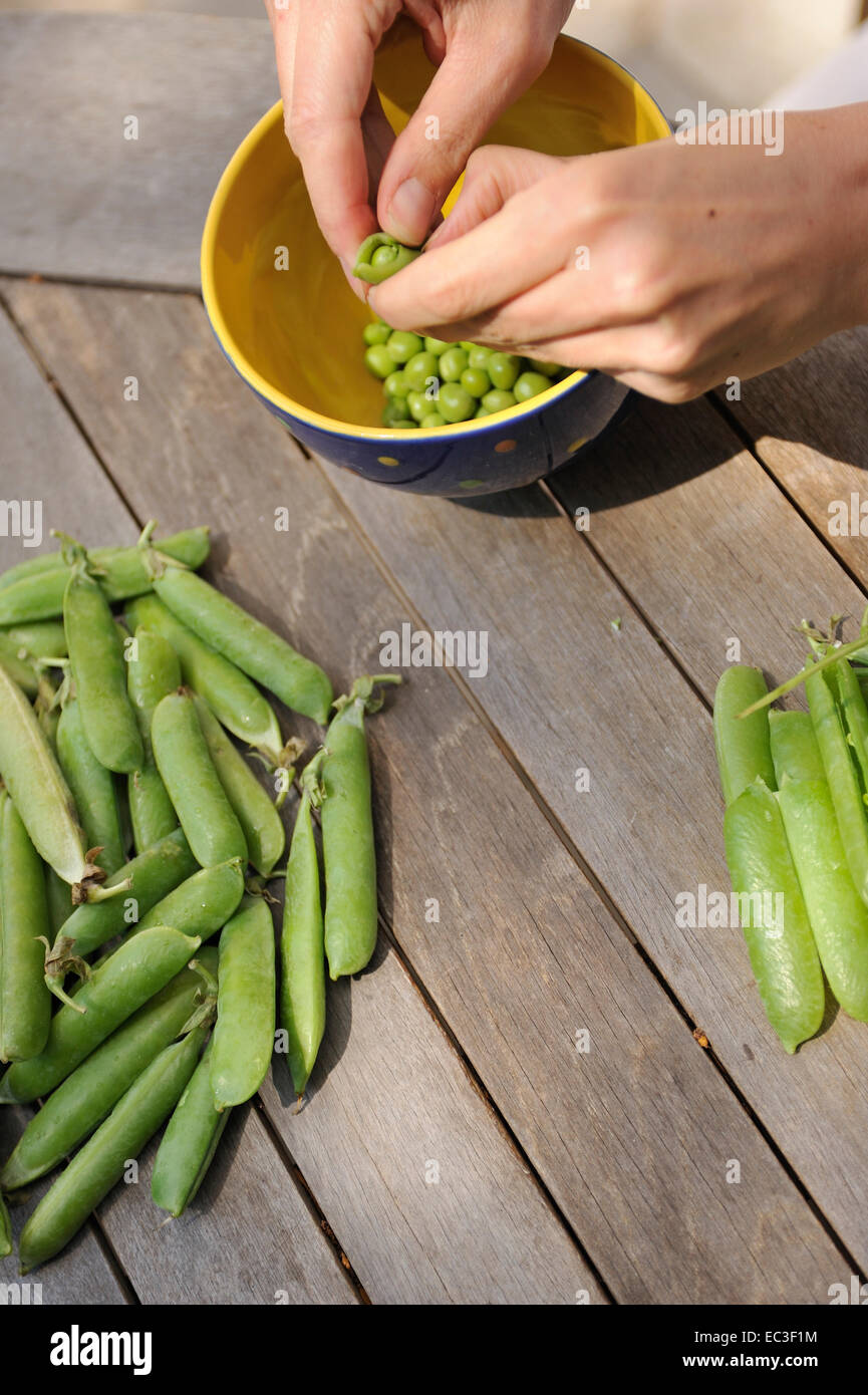 Peeling peas hi-res stock photography and images - Alamy