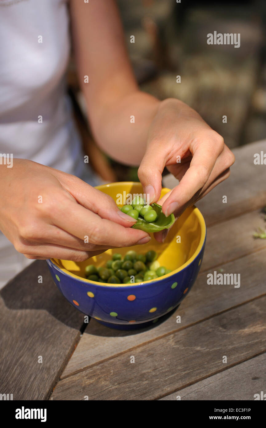 Woman peeling peas Stock Photo - Alamy