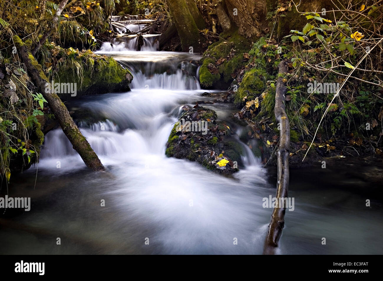 Headwater stream hi-res stock photography and images - Alamy
