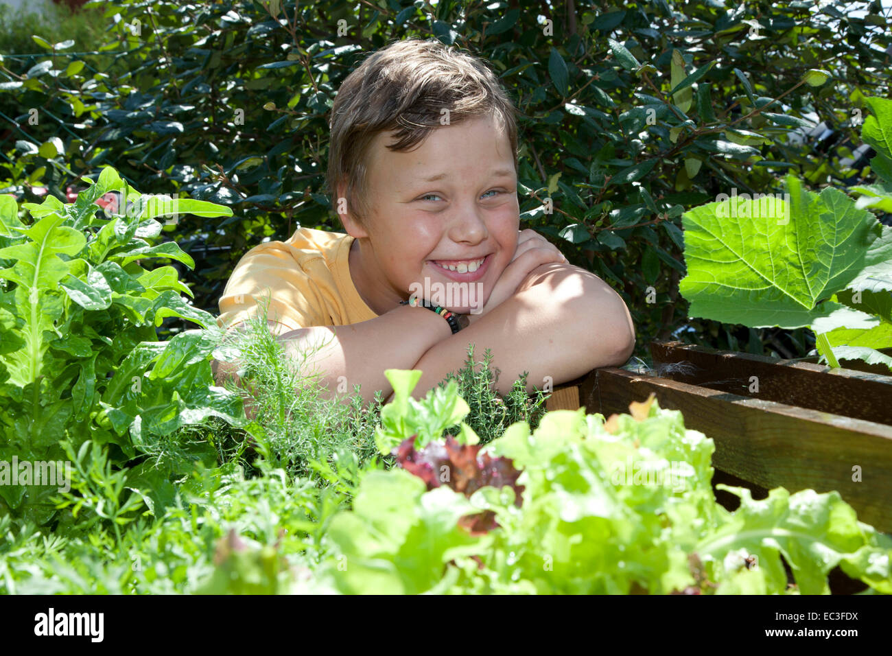 Healthy boy in the garden Stock Photo - Alamy