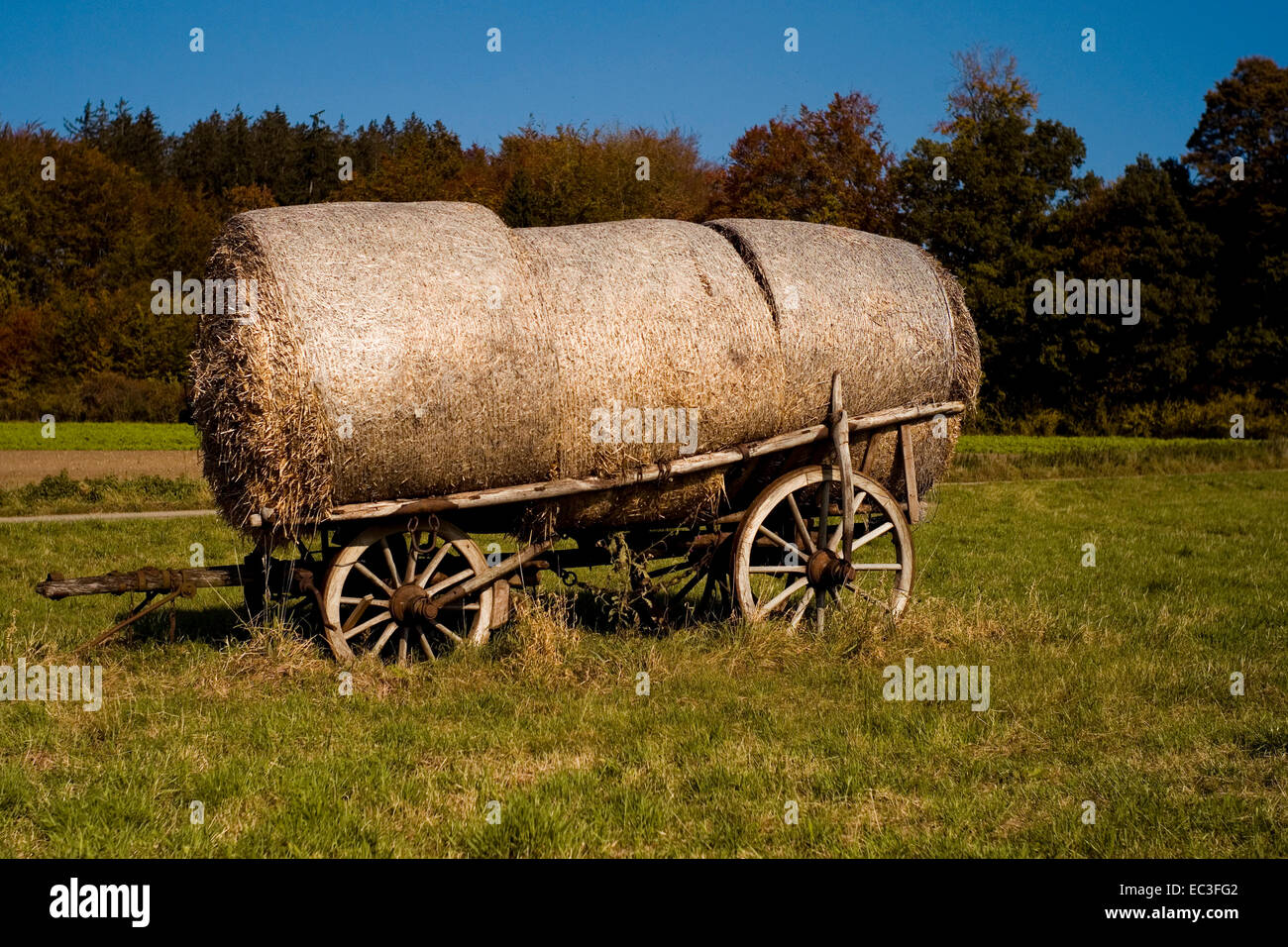 Hay Cart, Ulm, Germany Stock Photo - Alamy