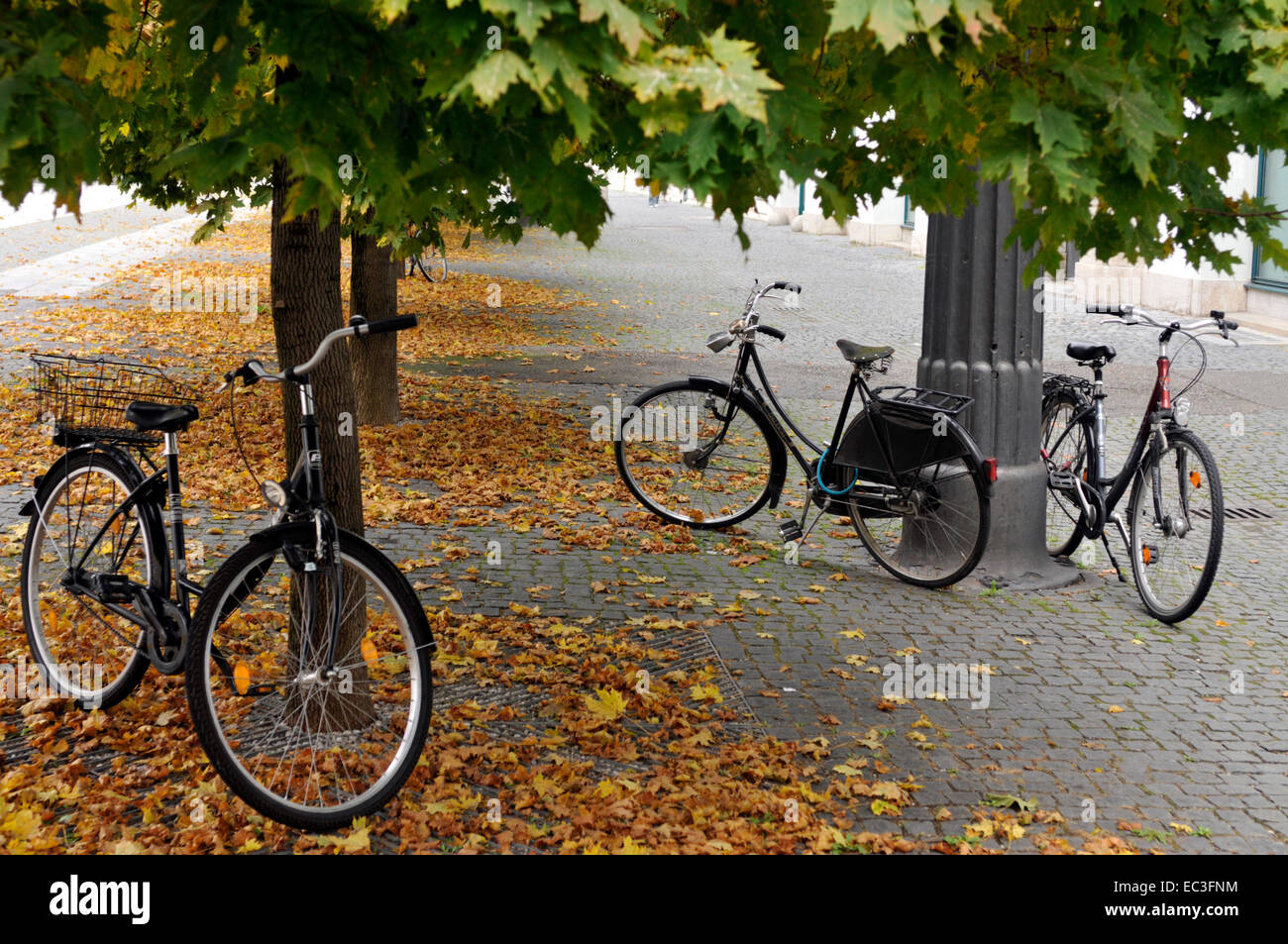 Old two wheeler hi-res stock photography and images - Alamy