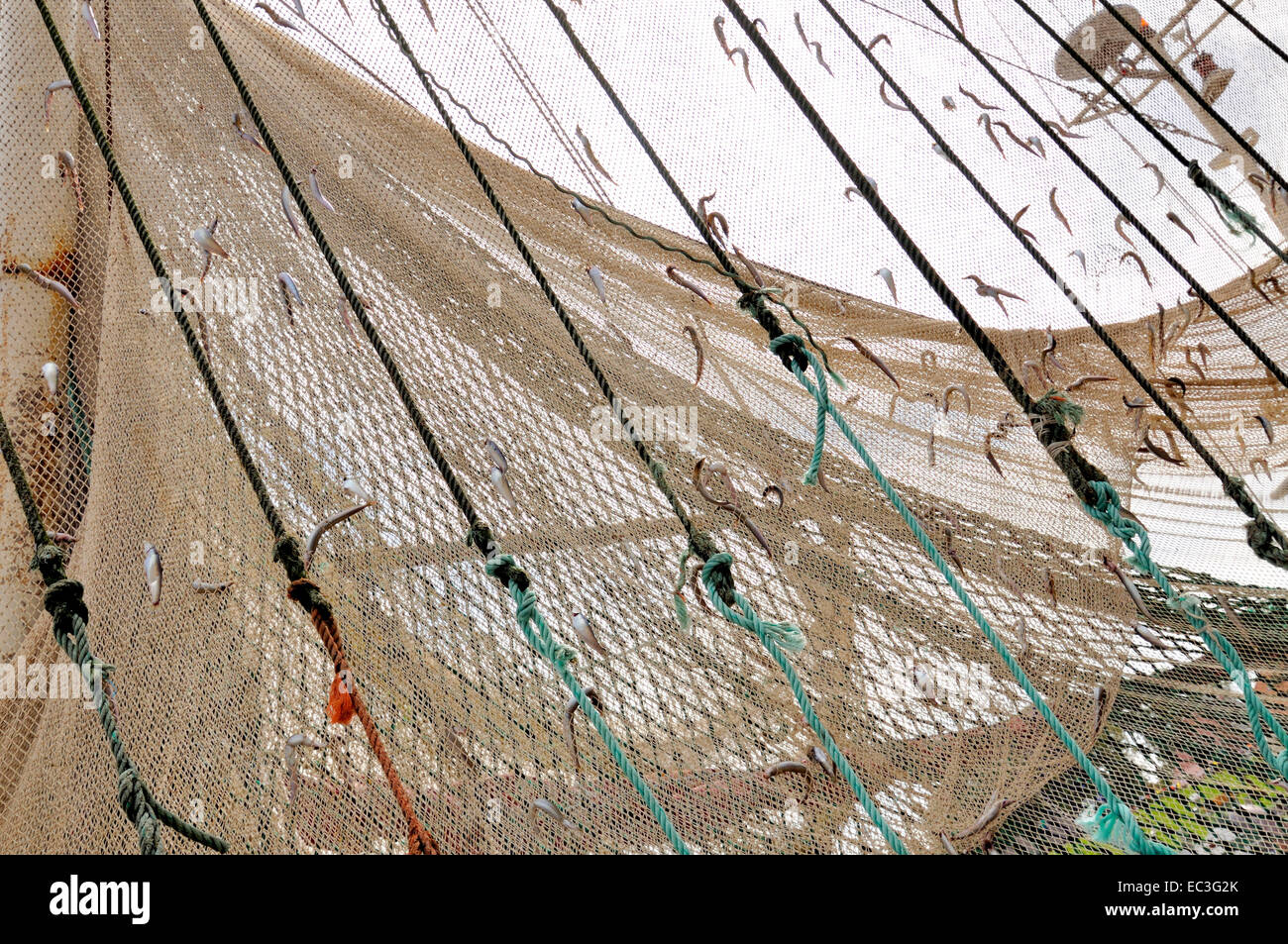 Fishing Net, Catch, Fish Stock Photo - Alamy