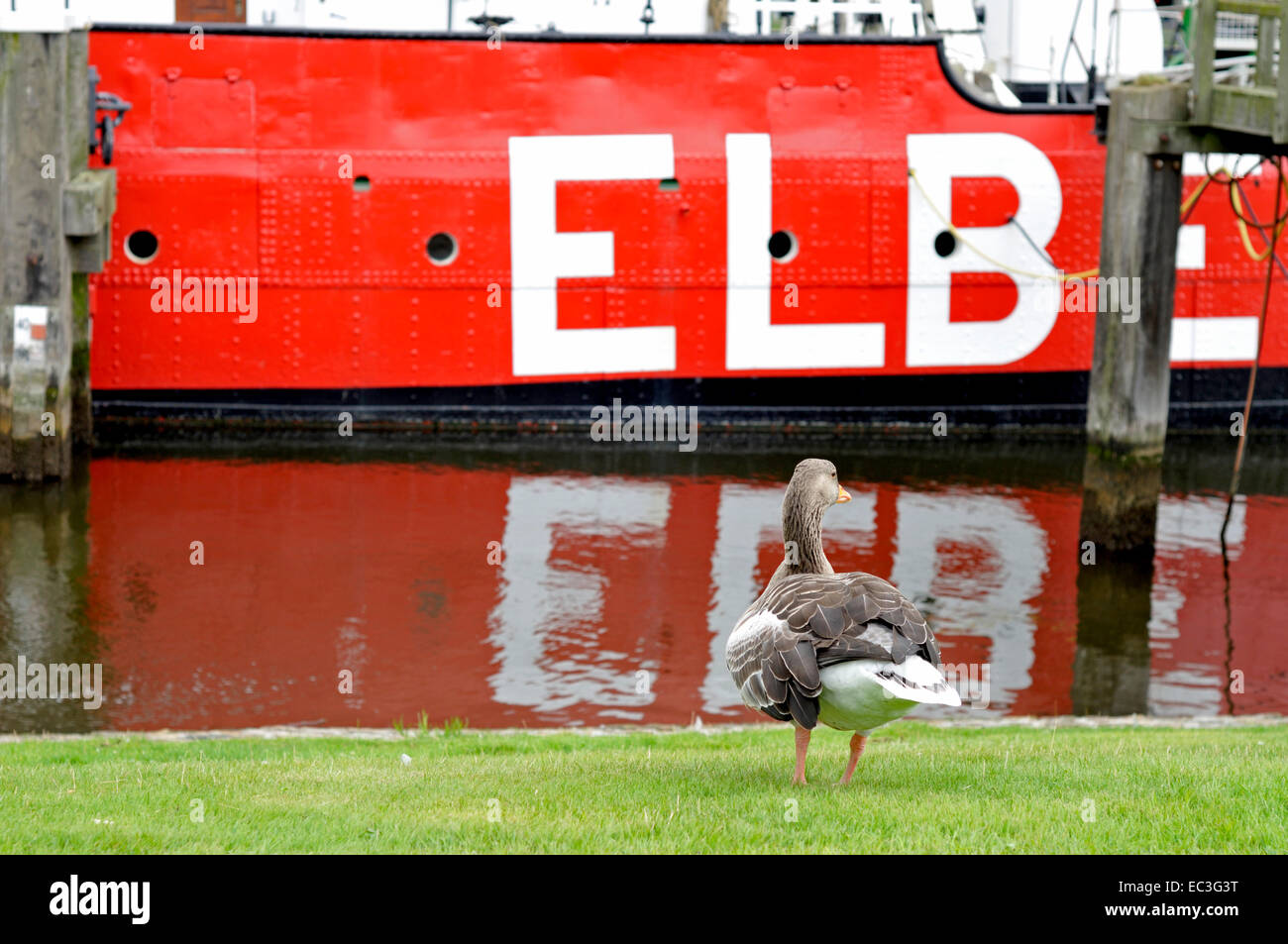 Harbour, Situation, Ship, Duck Stock Photo - Alamy