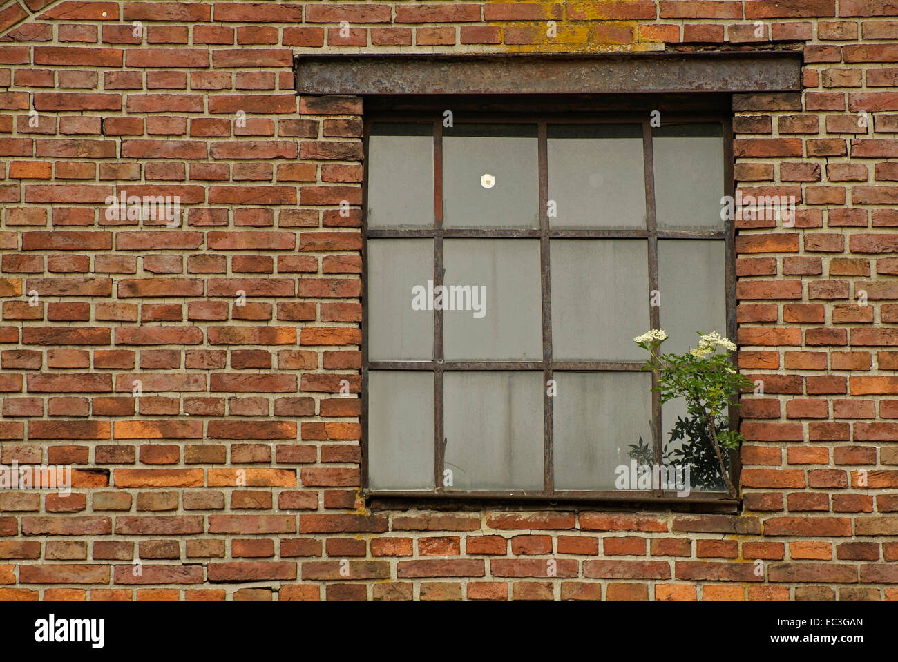 Wall claddings hi-res stock photography and images - Alamy