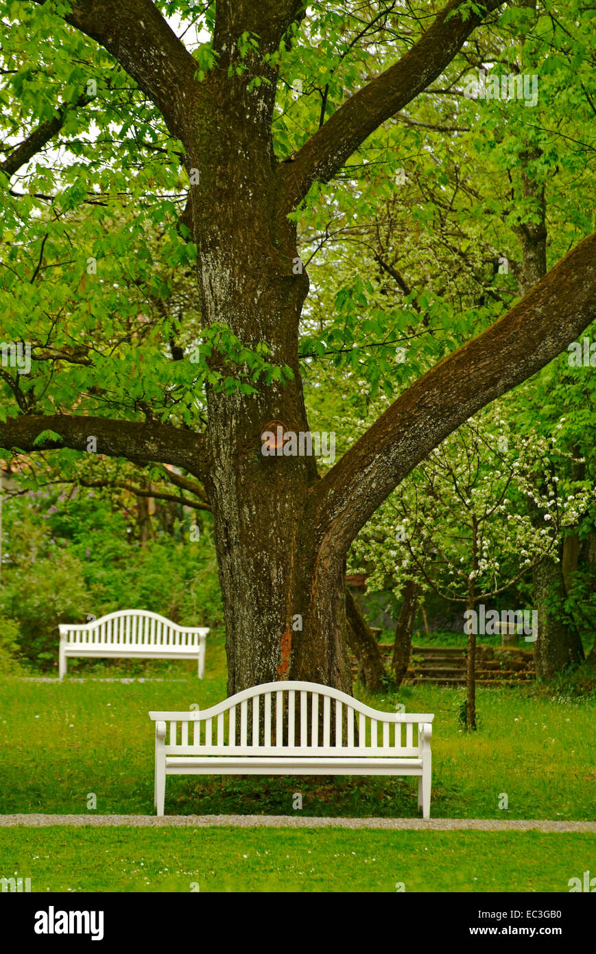 Park with Benches Stock Photo - Alamy
