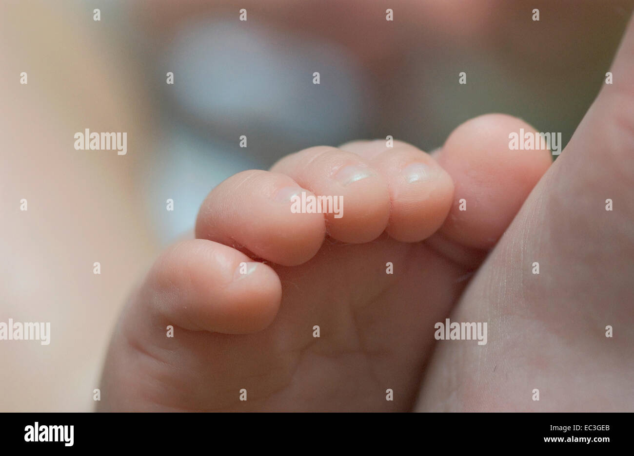 Baby, 6 Month, Feet Stock Photo - Alamy