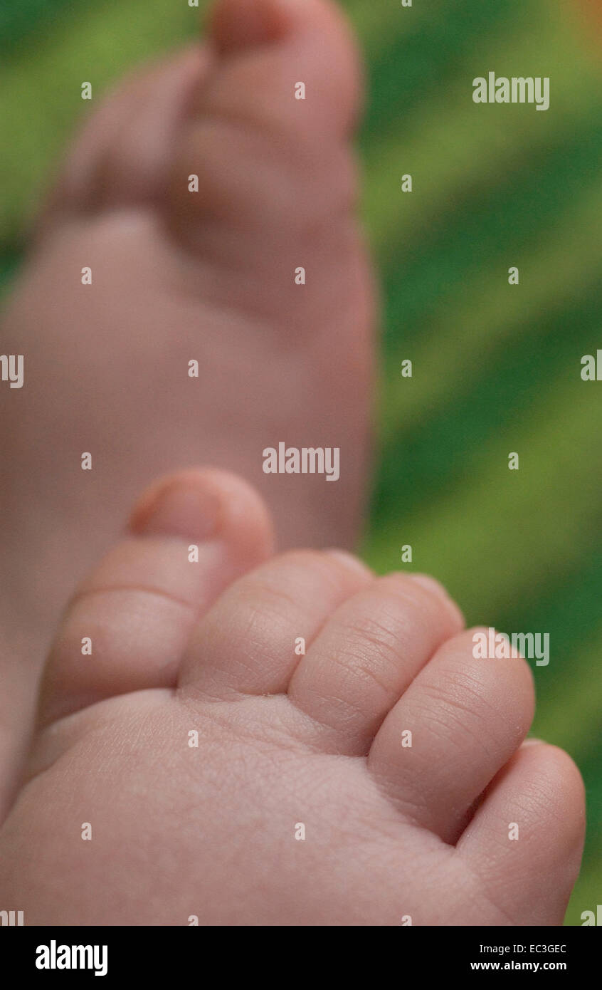 Baby, 6 Month, Feet Stock Photo - Alamy
