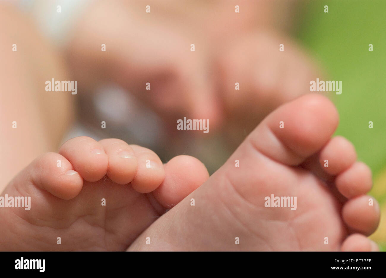 Baby, 6 Month, Feet Stock Photo - Alamy