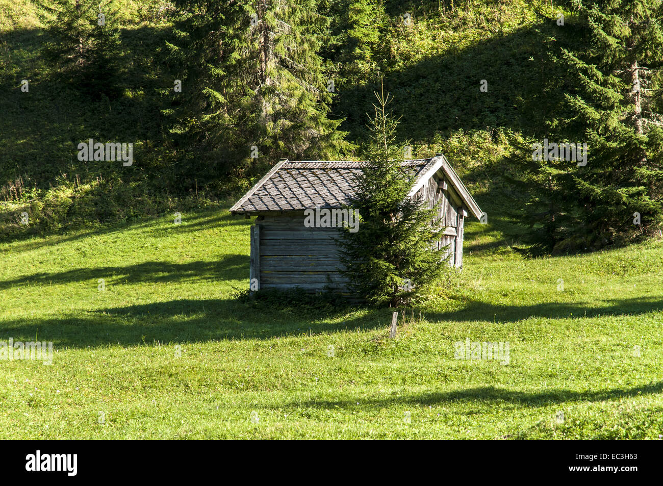 Petersbergalm hi-res stock photography and images - Alamy