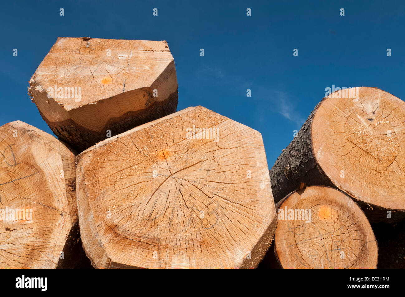 Basic wood hi-res stock photography and images - Alamy