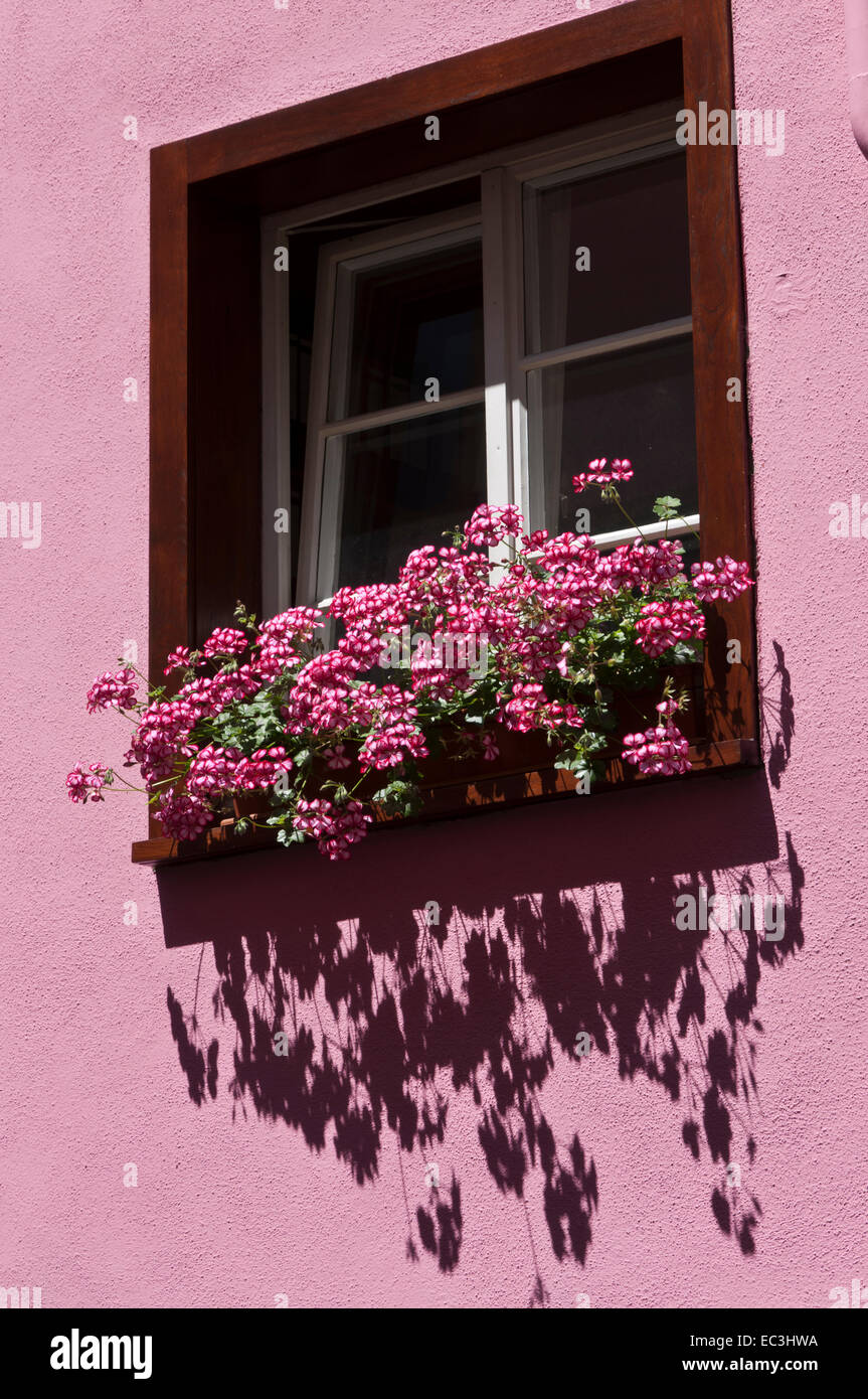 window with flowers Stock Photo - Alamy