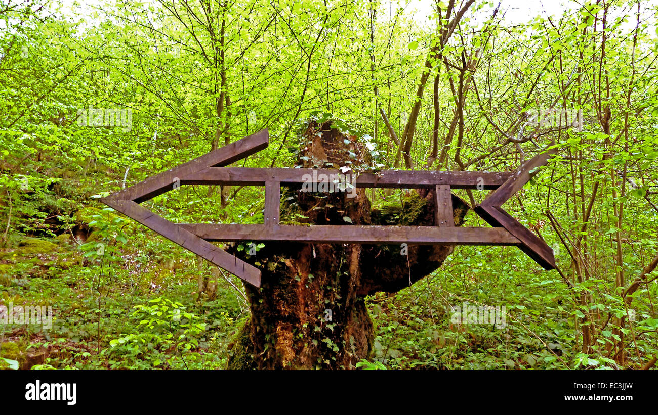An arrow sign pointing a direction in a forest Stock Photo - Alamy