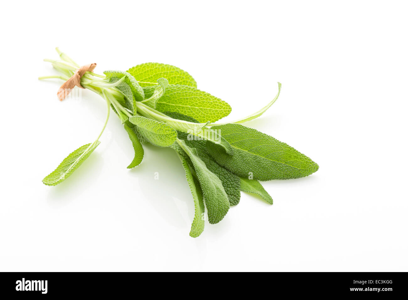 Close up bunch sage Cut Out Stock Images & Pictures - Alamy