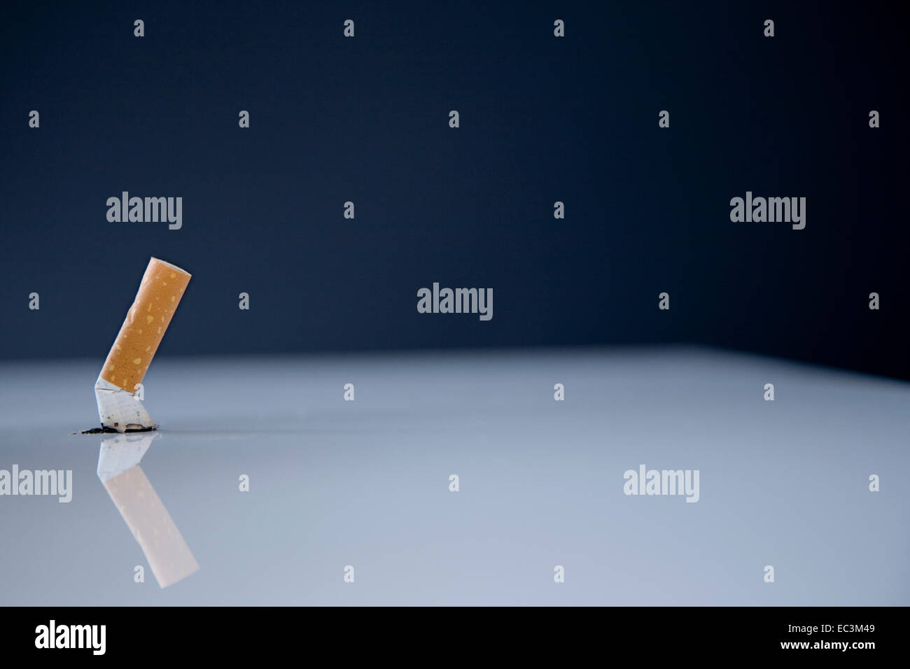 Squeezed out Cigarette Stock Photo - Alamy