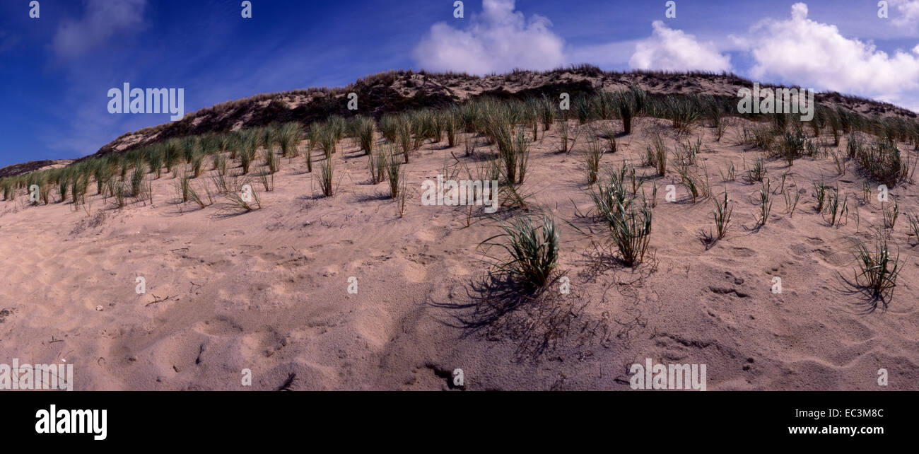 Jutland North Sea Cost, Denmark Stock Photo - Alamy