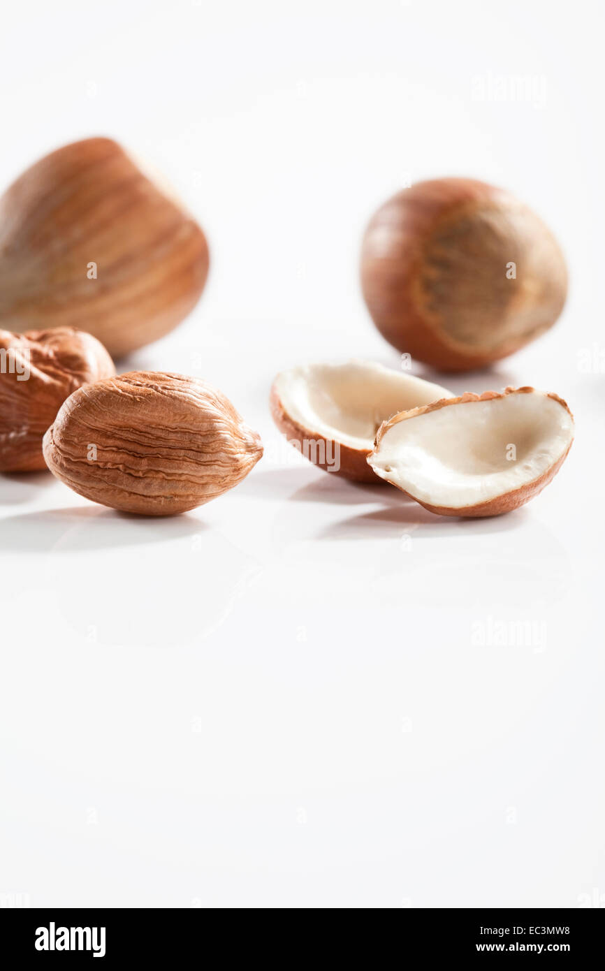 Close up peeled hazelnuts hi-res stock photography and images - Alamy