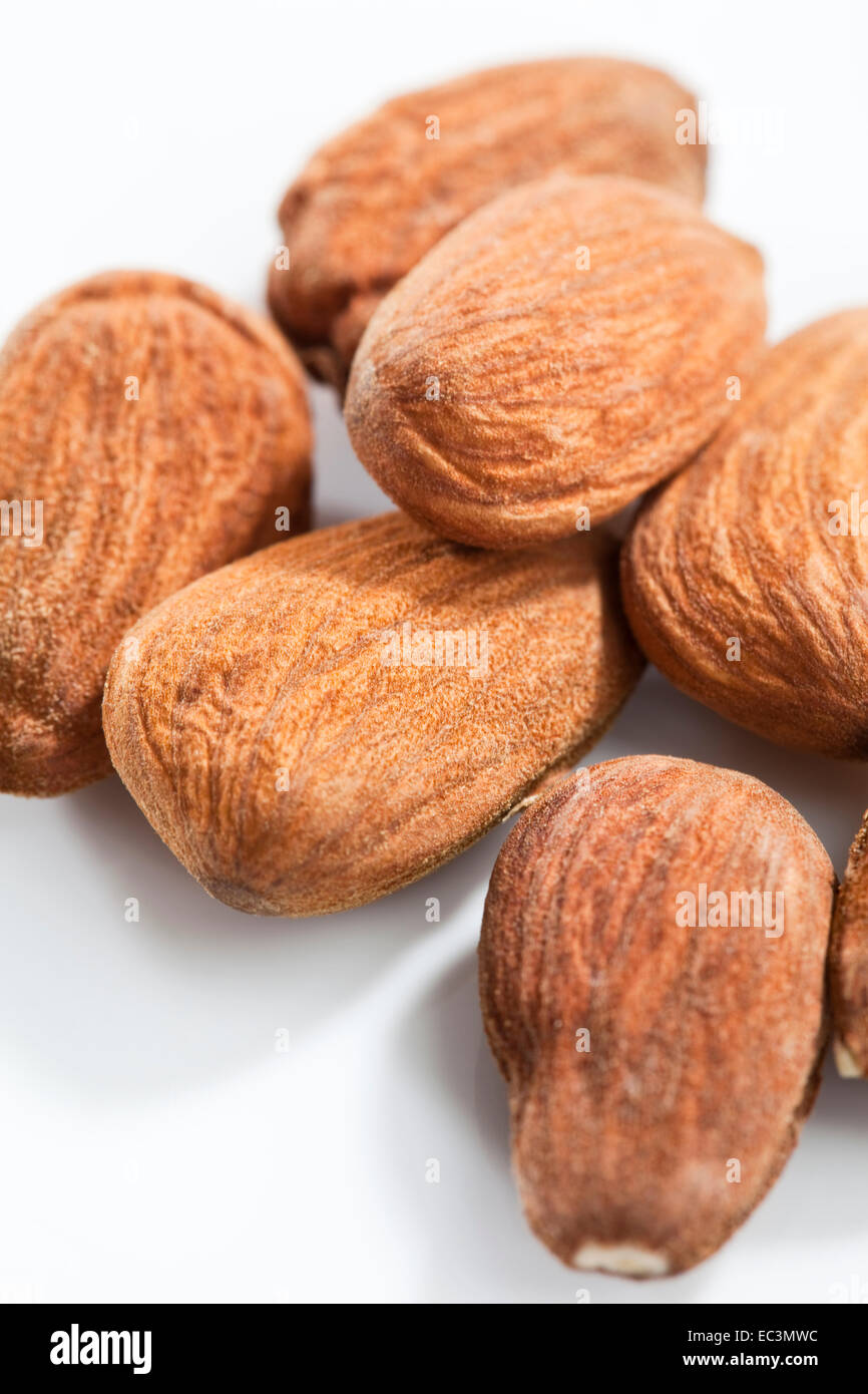 Images of almonds in their shell hi-res stock photography and images ...