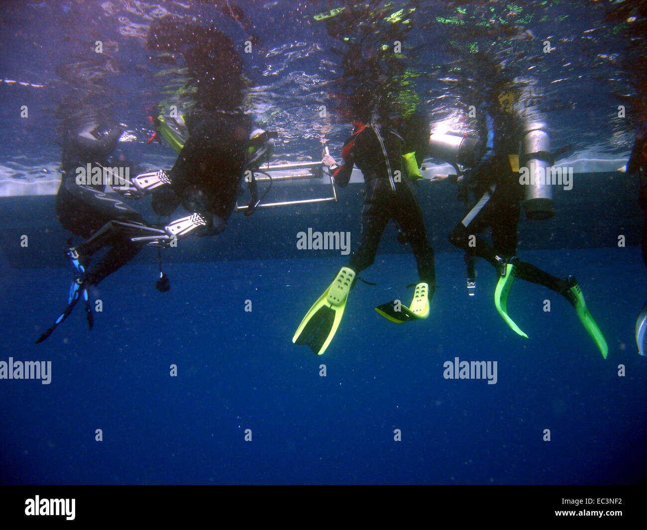 Team divers hi-res stock photography and images - Alamy