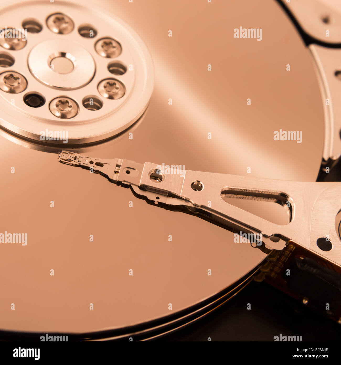 reader of a hard disk closeup Stock Photo - Alamy