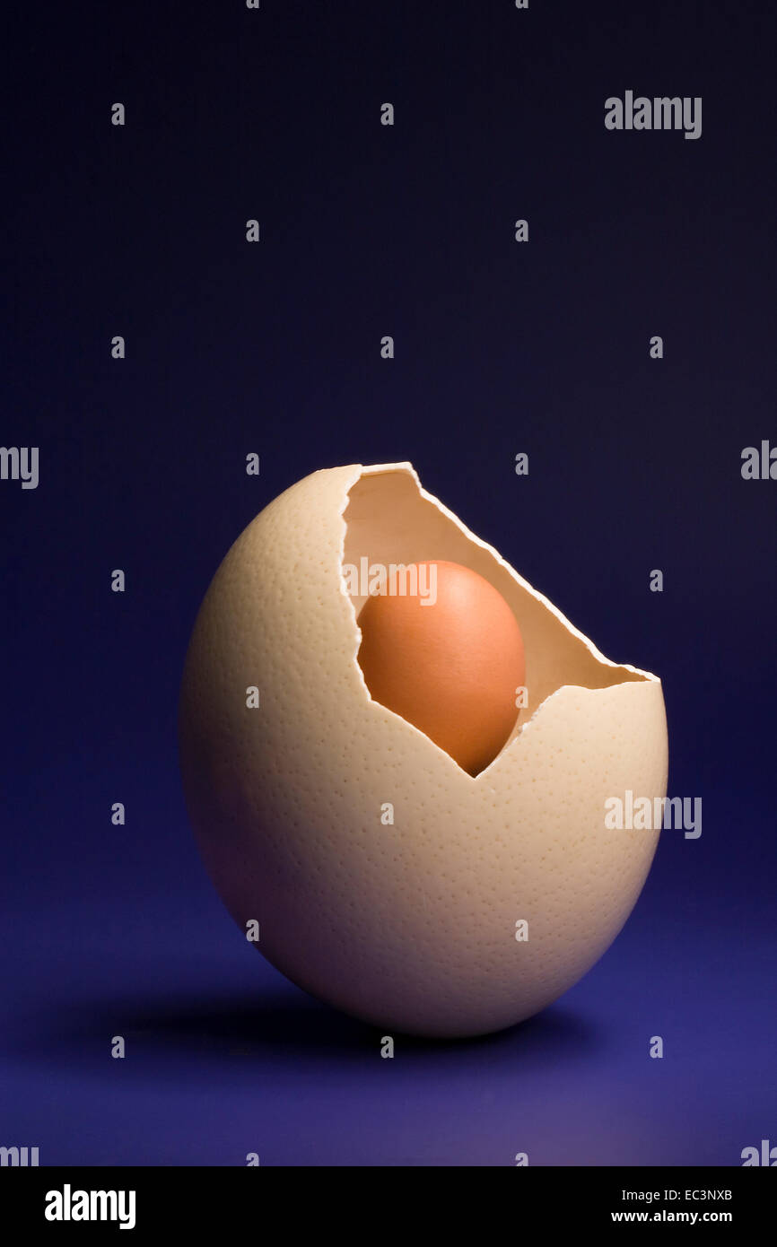 Big egg hi-res stock photography and images - Alamy
