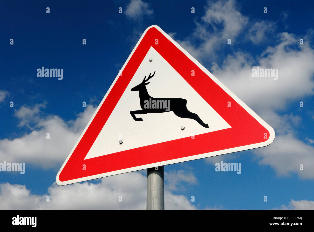 Deer sign symbol hi-res stock photography and images - Alamy