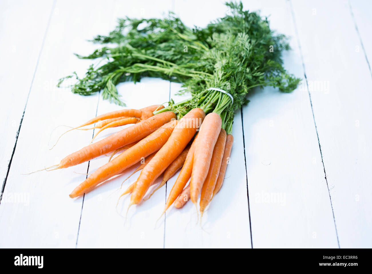 bundle of carrots Stock Photo - Alamy