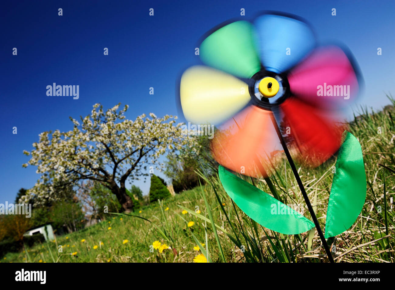 Toy wind wheel hi-res stock photography and images - Alamy