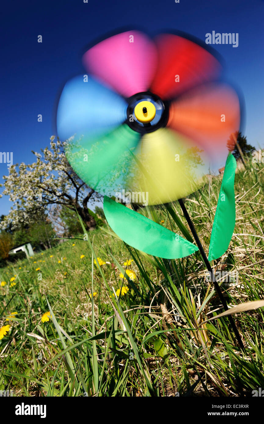 Toy Wind Wheel High Resolution Stock Photography and Images - Alamy