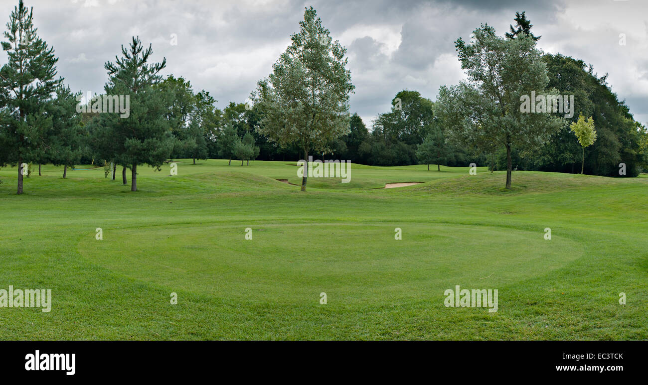 Golf green and fairways Stock Photo - Alamy