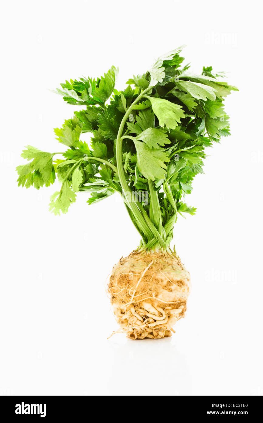 Perennial celery hi-res stock photography and images - Alamy