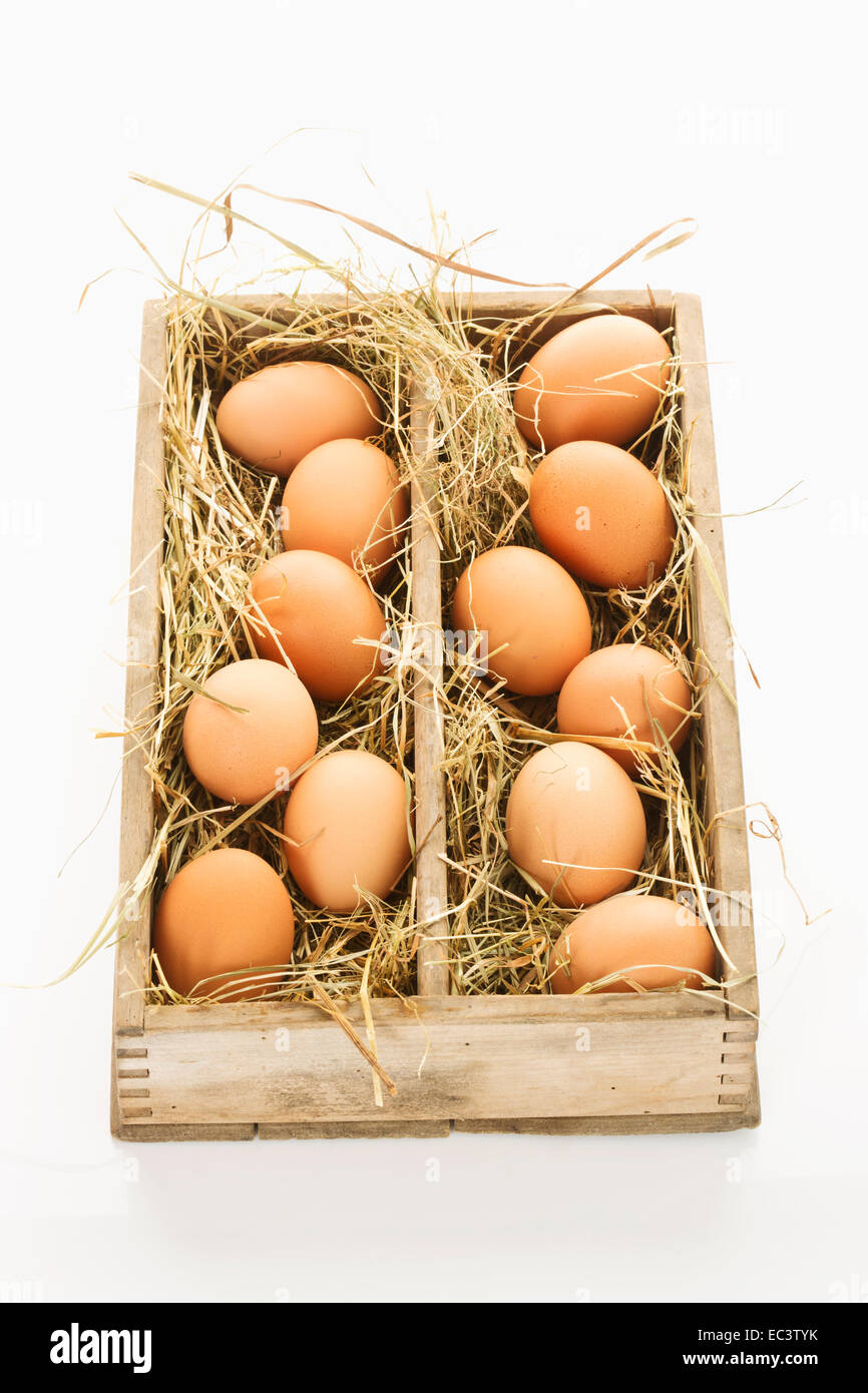 Bio eggs symbol hi-res stock photography and images - Alamy