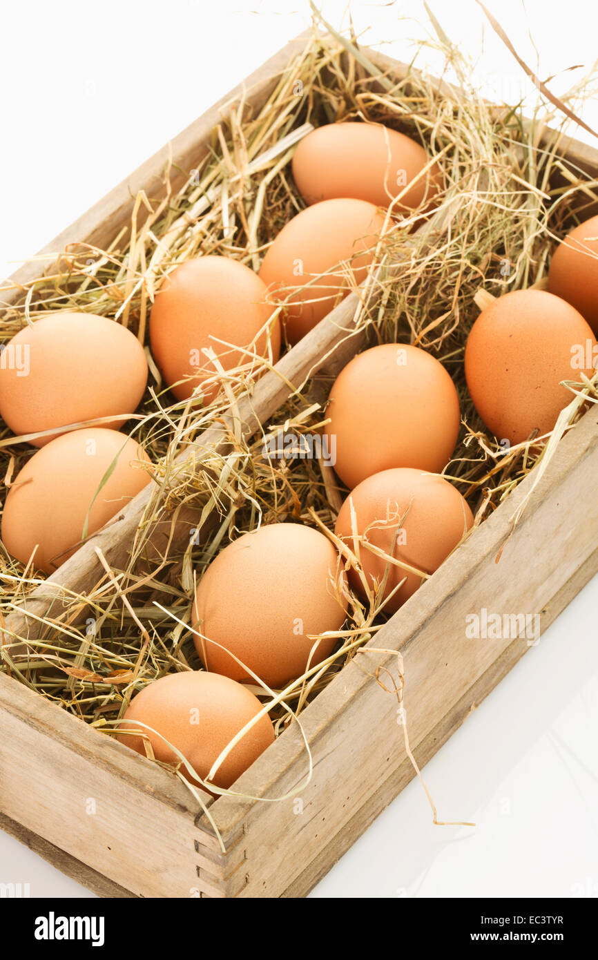 Free Range Eggs Symbol High Resolution Stock Photography and Images - Alamy