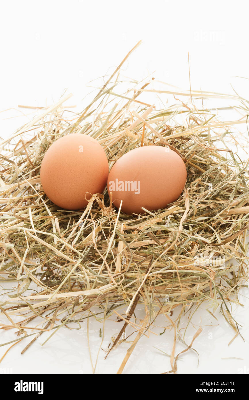 Bio eggs symbol hi-res stock photography and images - Alamy