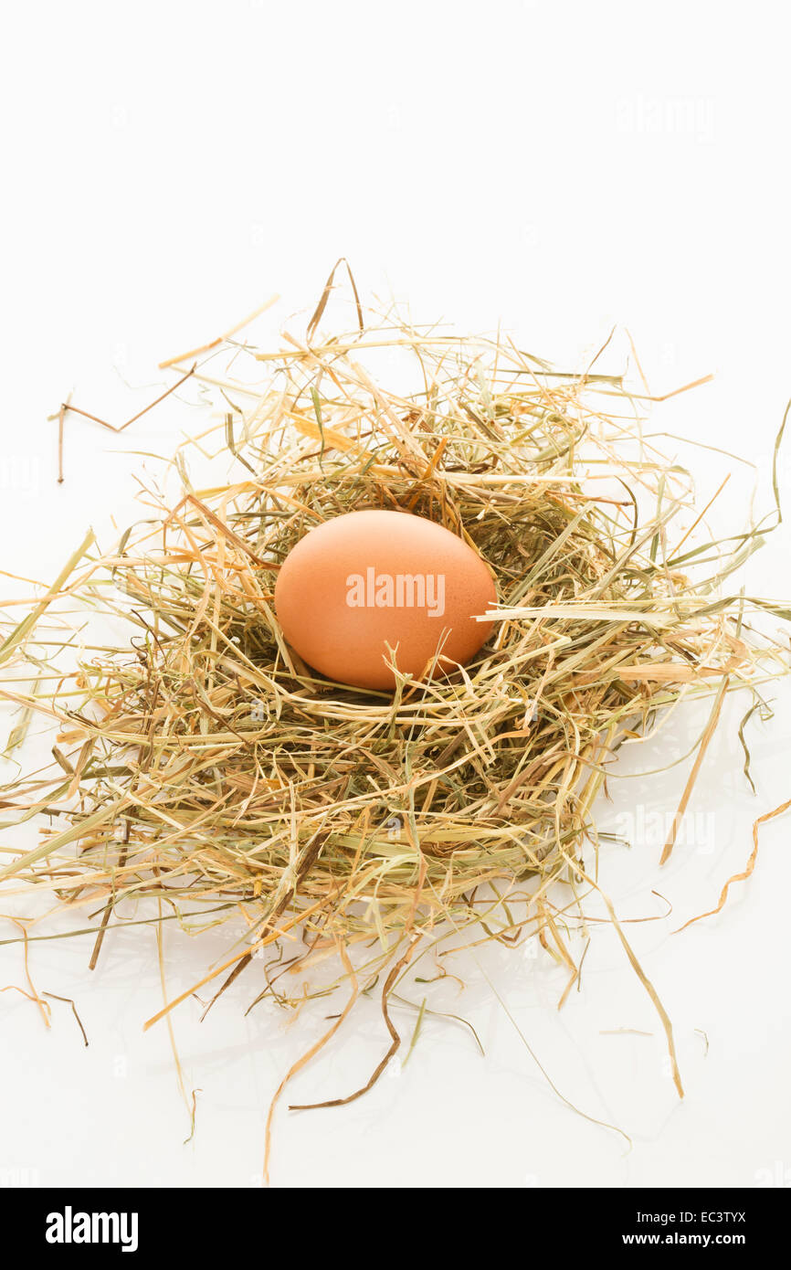 Bio eggs symbol hi-res stock photography and images - Alamy